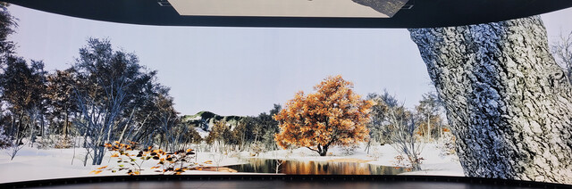 ArtStation - Marcella Lennae