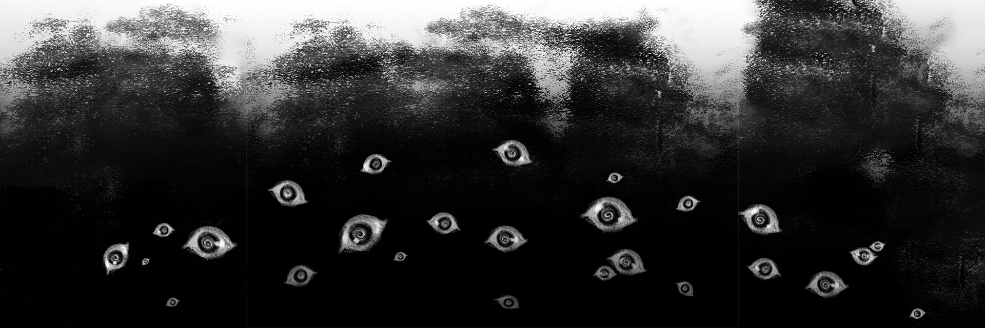 Zoe McCue - Portfolio