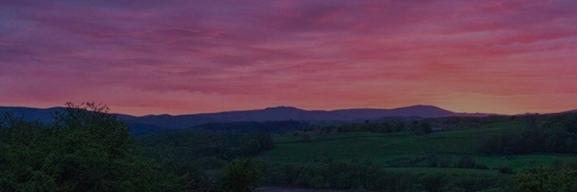 ArtStation - Anthony Mogg