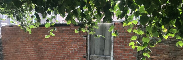 ArtStation - Natascha Clerinx