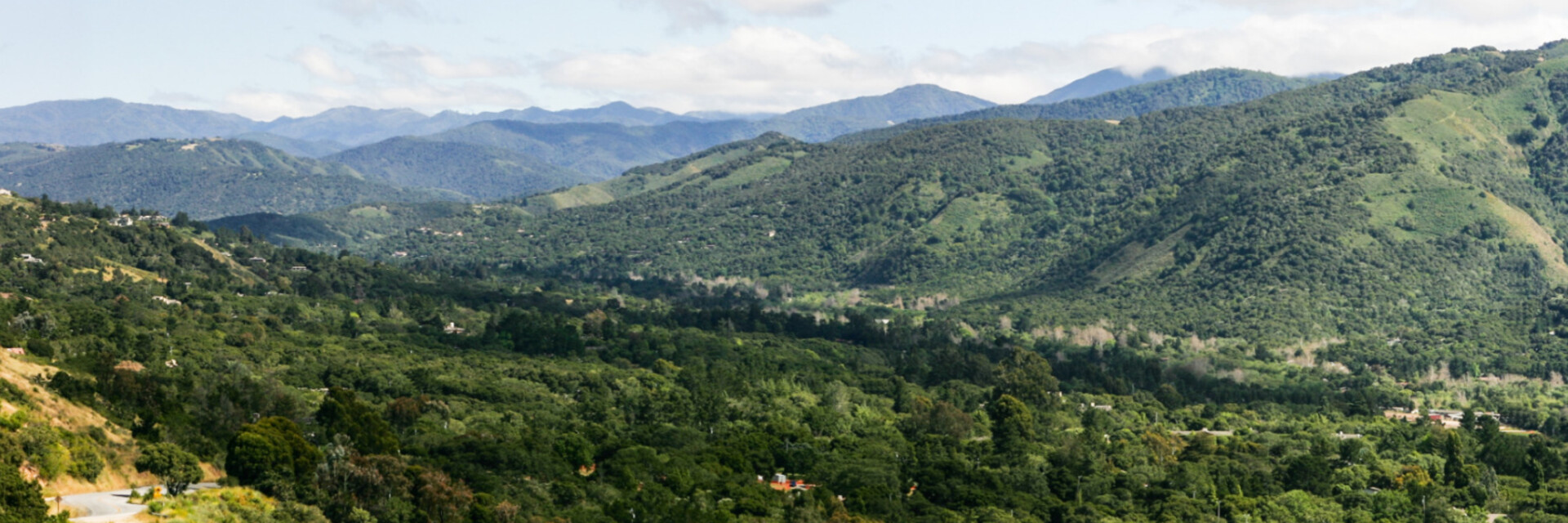 ArtStation - Aiden Ingram