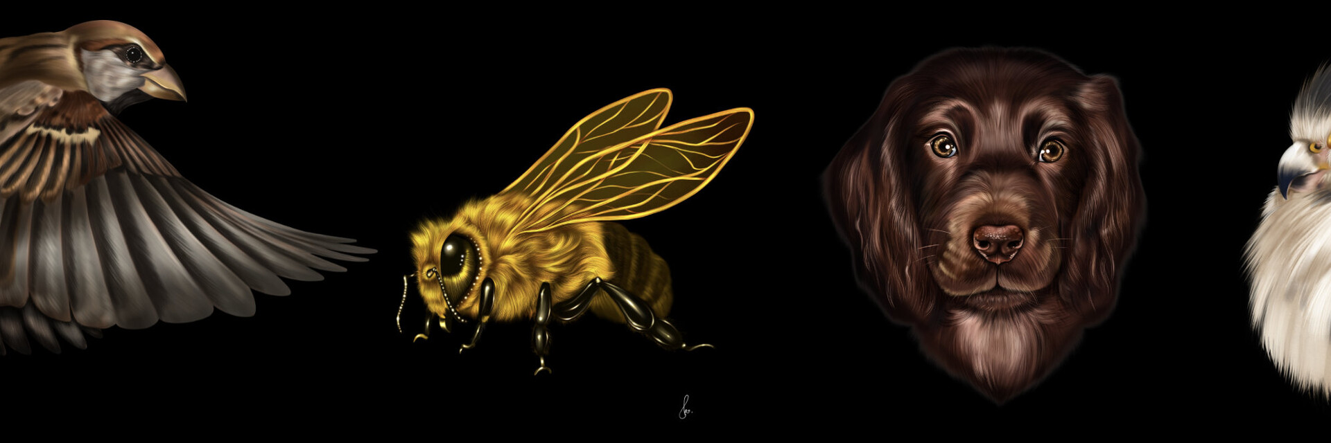 ArtStation - Krystyna Nowak