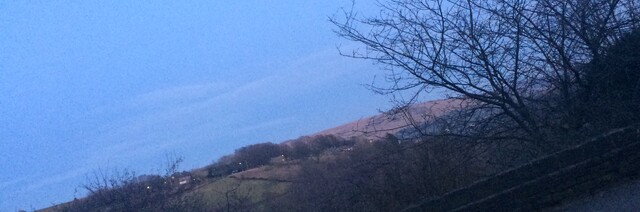 ArtStation - simone stevenson-hough