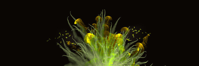 ArtStation - Egor Kalmykov