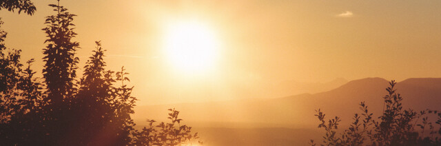 ArtStation - justin wetch