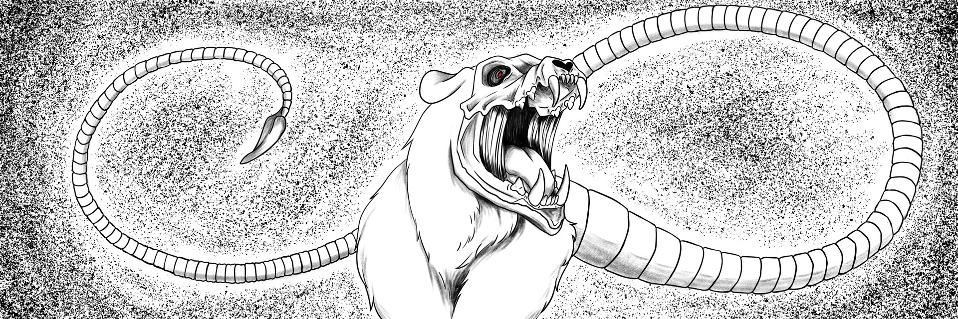 Seth Hughes - Portfolio