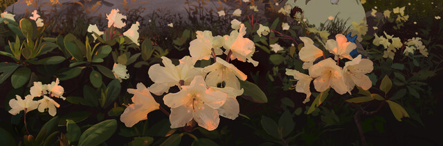 ArtStation - 丁满Timon