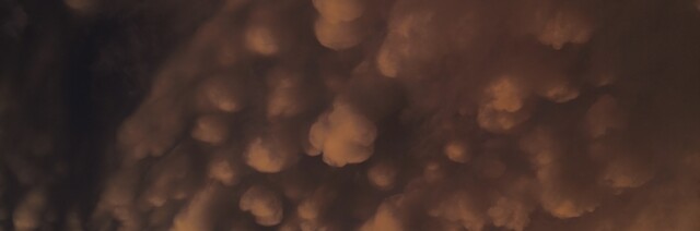 ArtStation - Luca Alberti