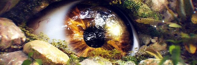 ArtStation - Stephen Gentry