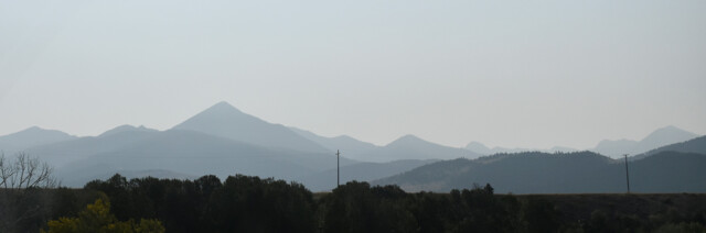 ArtStation - Elijah Murphy