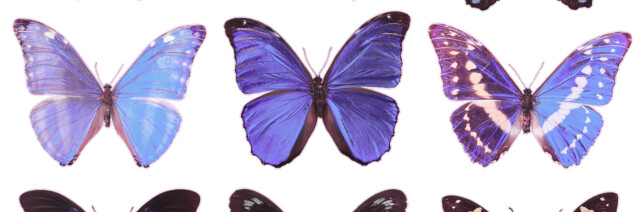 ArtStation - cosmo pyke