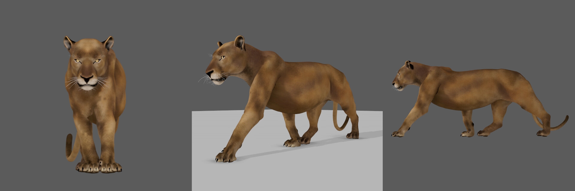 Yamaan Jajoria - Portfolio