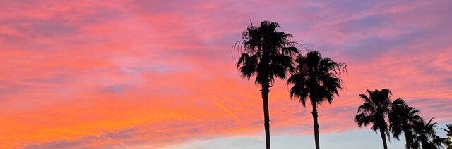 ArtStation - Kayla Gainey