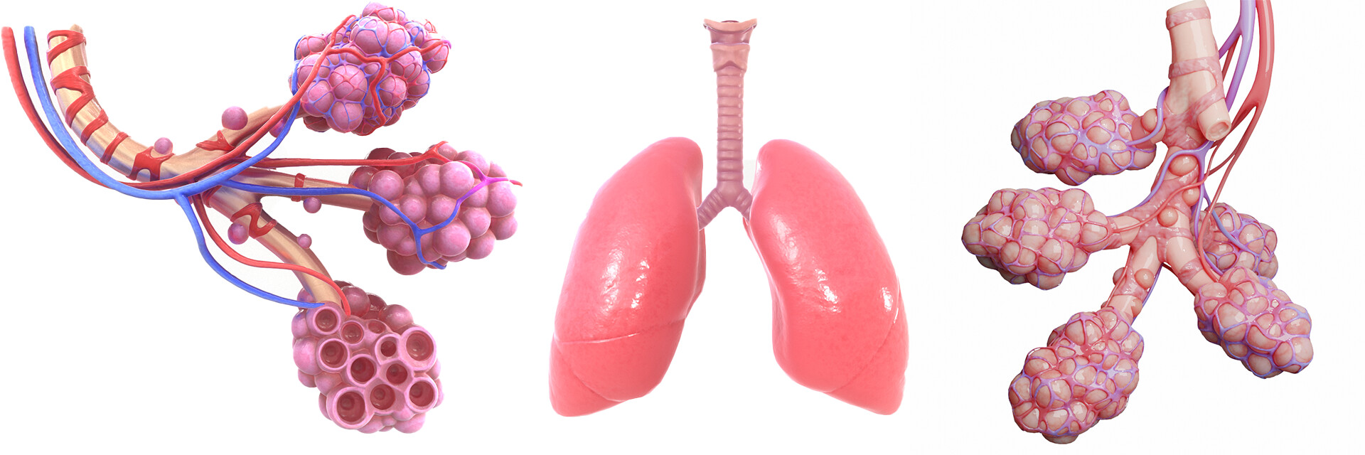 ArtStation - Ivan Ushakov