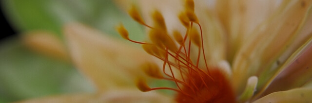 ArtStation - Samuel Greer