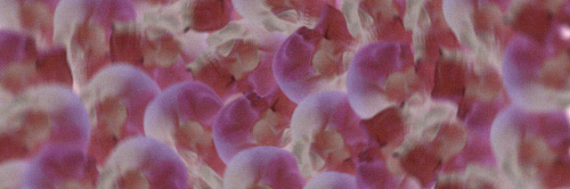 ArtStation - Arina Ilchenko