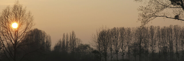 ArtStation - Virginie