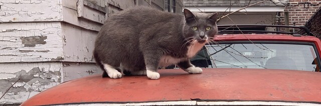 ArtStation - Wilson Zea