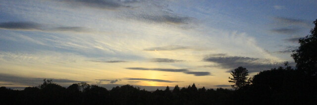 ArtStation - Andrew Bauld