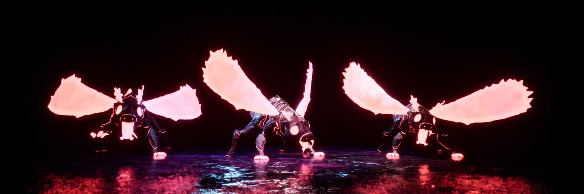 Todd Jurkevicius - Portfolio