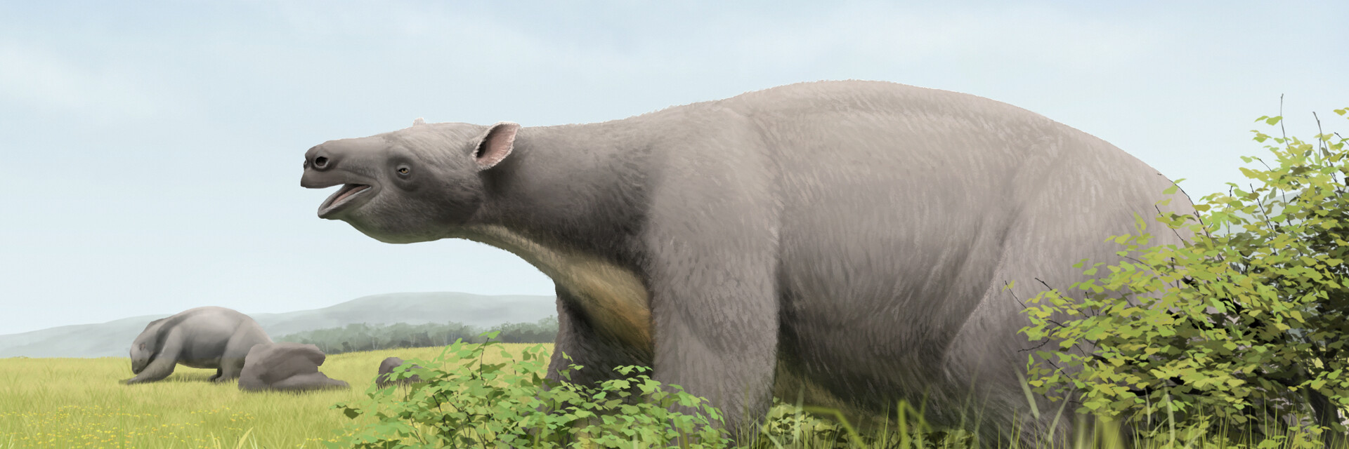 Benjamin-León Reinoso-Langlois