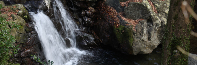 ArtStation - Michael Kento Allred