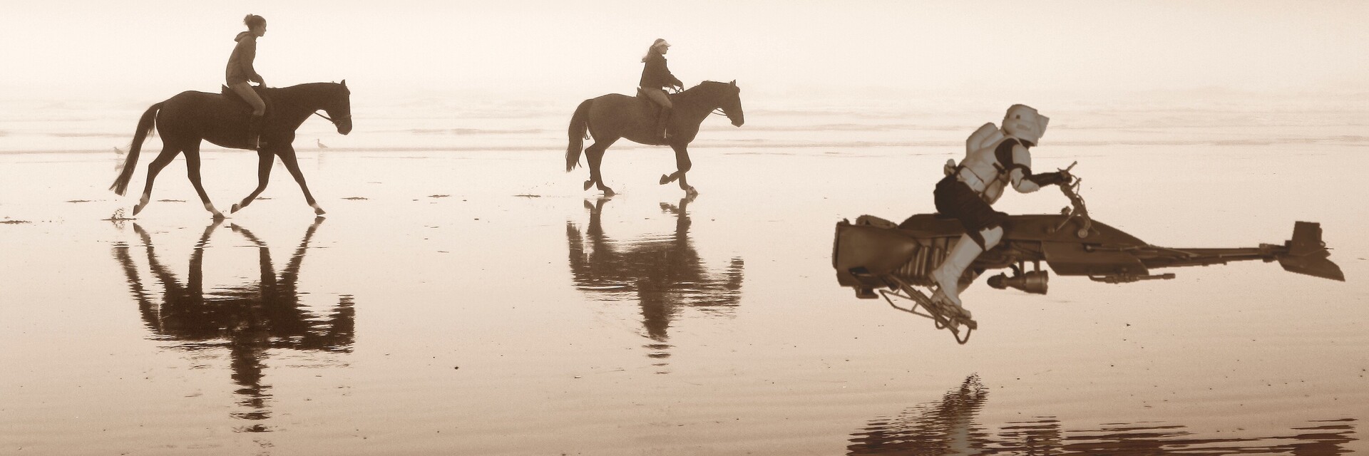 ArtStation - Stu Rutherford-Hall