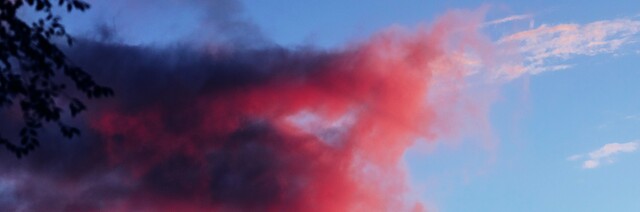 ArtStation - Gabrielle R. Foxman