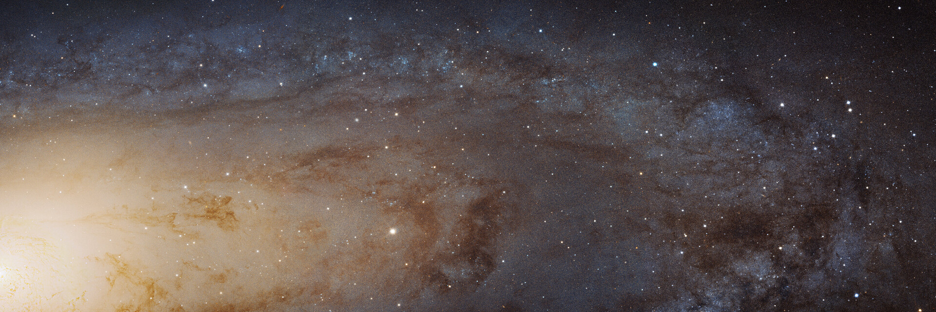 ArtStation - Andrew Spaulding