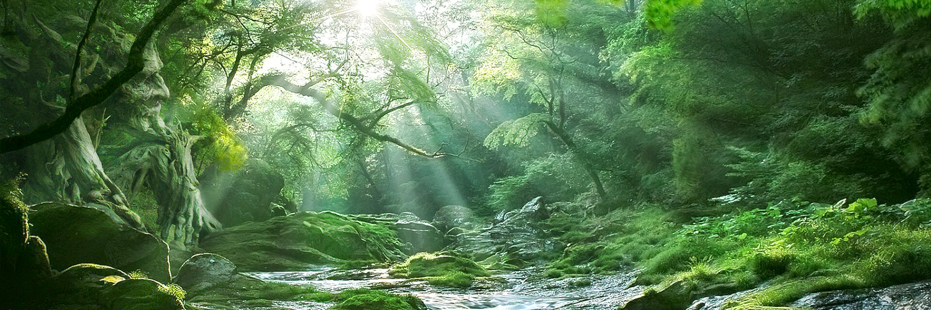 ArtStation - Kim Beaton