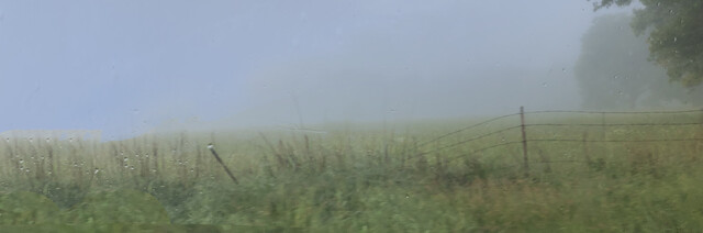 ArtStation - Todd Wheeler