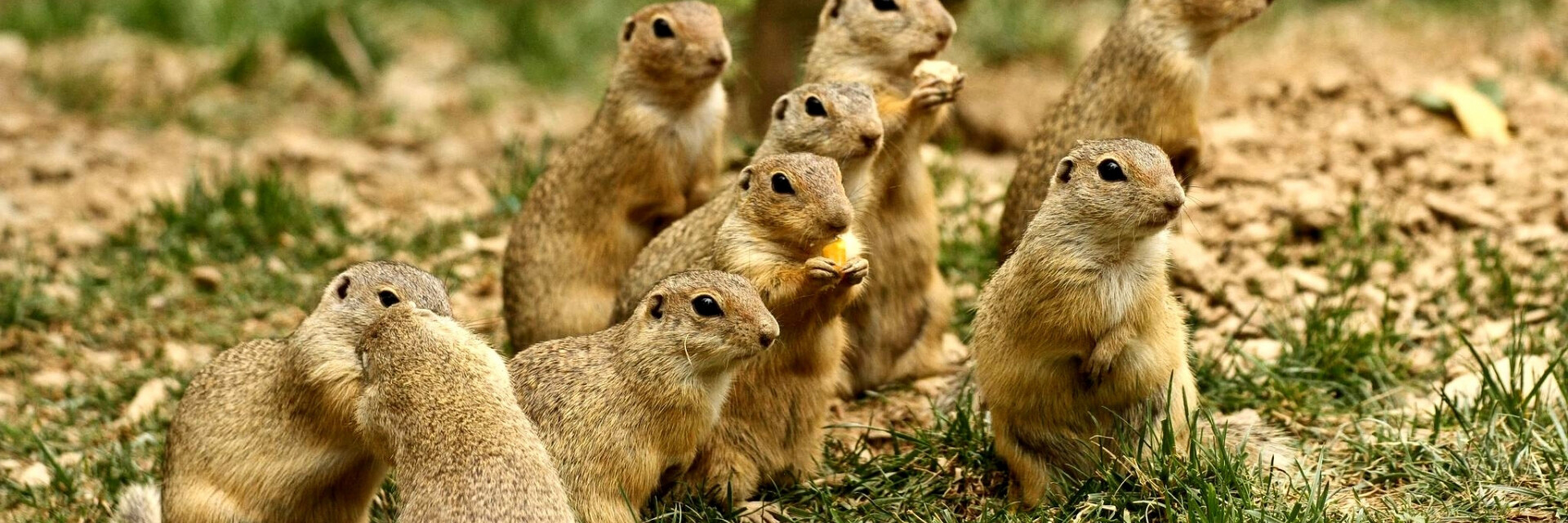 ArtStation - Noah Bradshaw