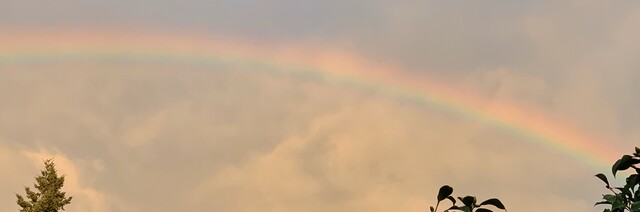 ArtStation - Glenna Park