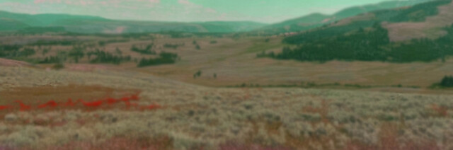 ArtStation - Anna Reid