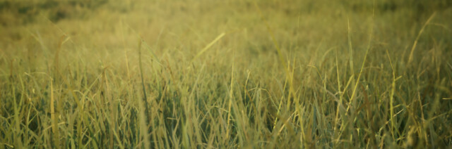 ArtStation - Henry Foley