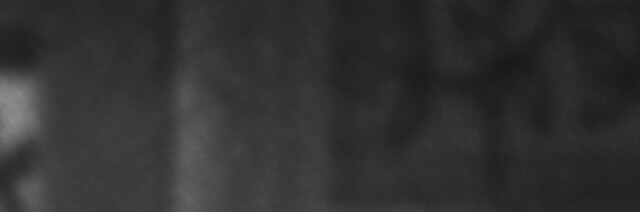 ArtStation - Newt Ethos