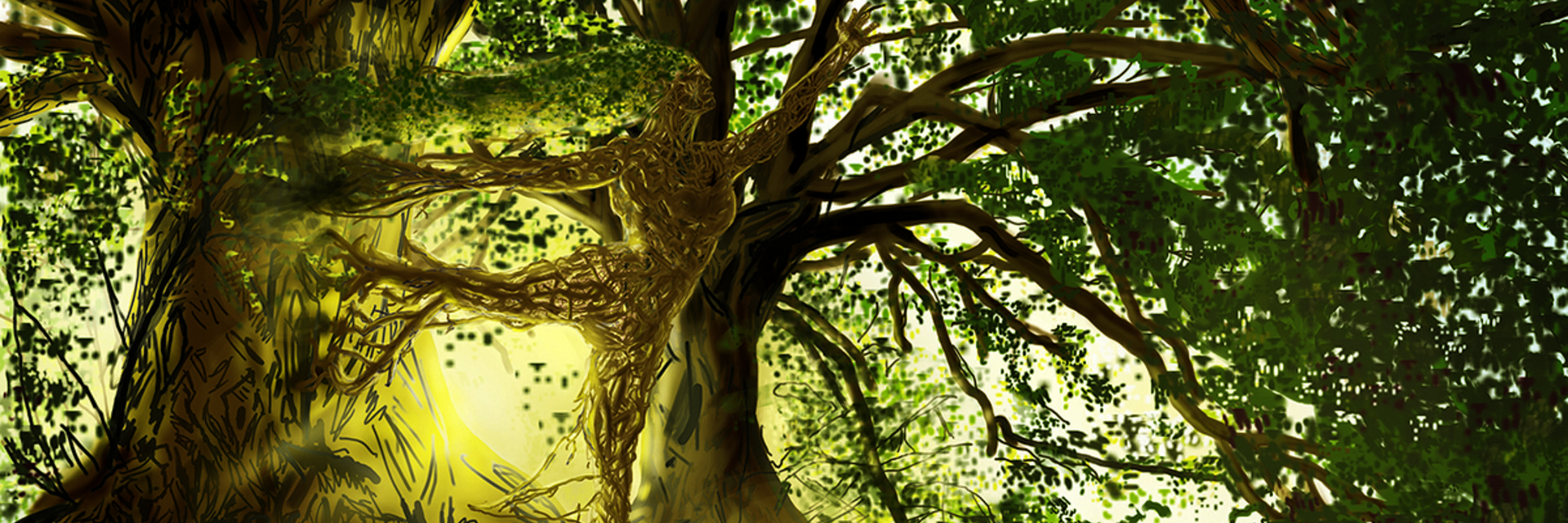 Jon Givetz - Portfolio