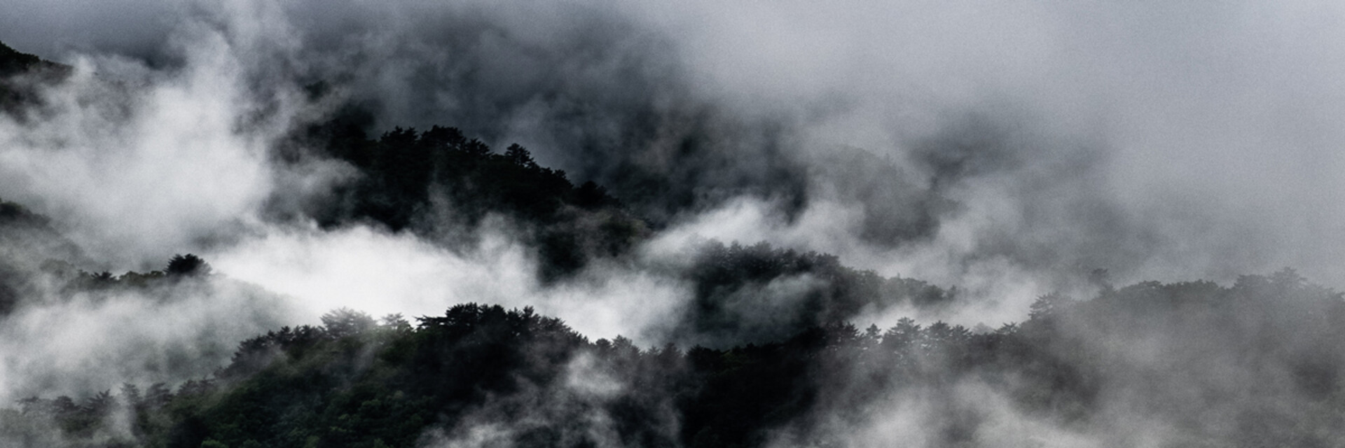 ArtStation - 無盡MooJin Hanvit