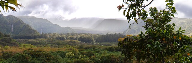 ArtStation - Milo Gray