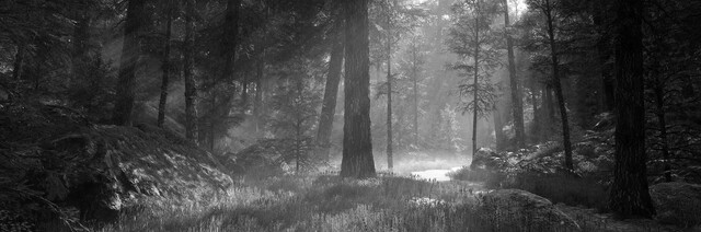 ArtStation - Angel Dimovski