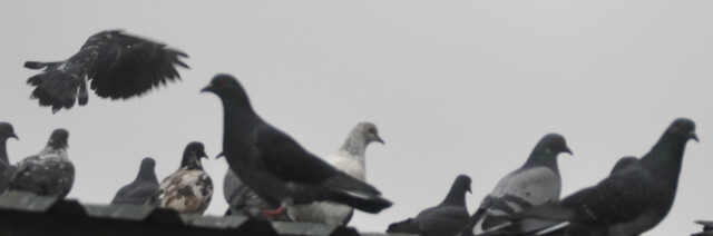 ArtStation - Bogdan Savchenko