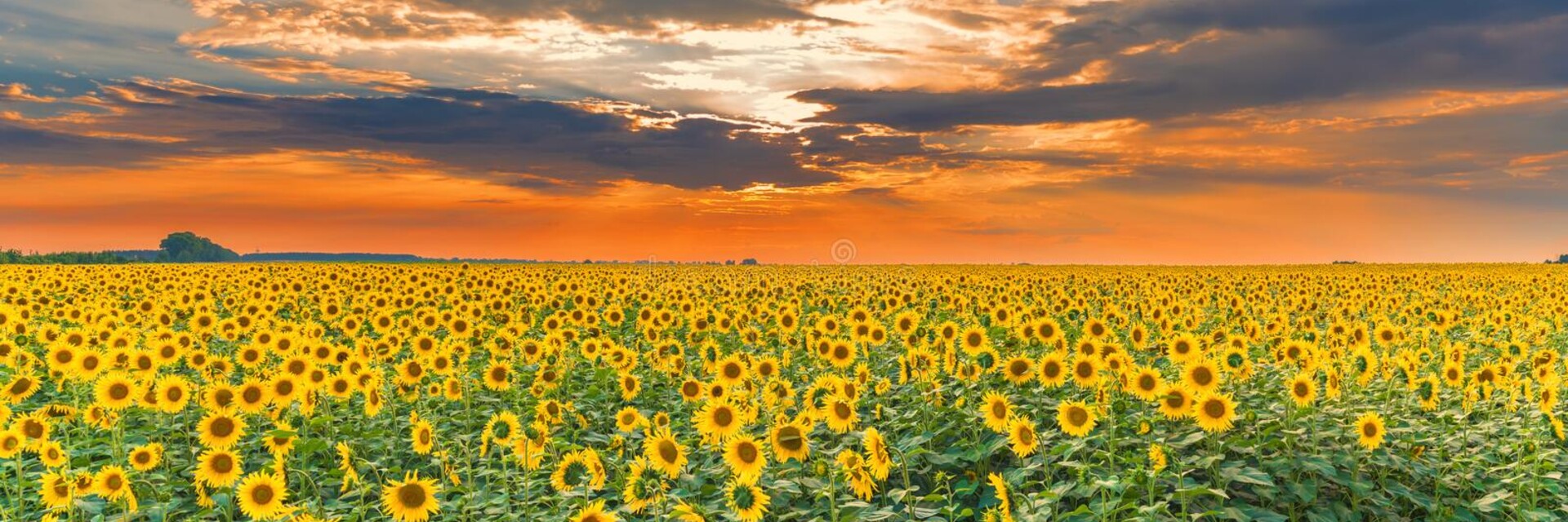 ArtStation - Adeyemo Sofiyat Kehinde