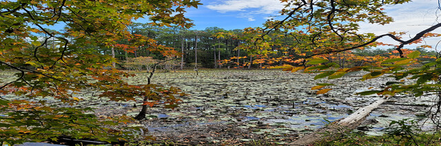 ArtStation - Edwin Ulsh