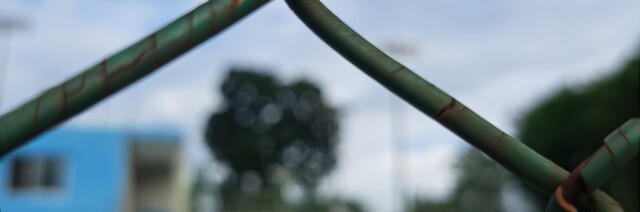 ArtStation - HSR David