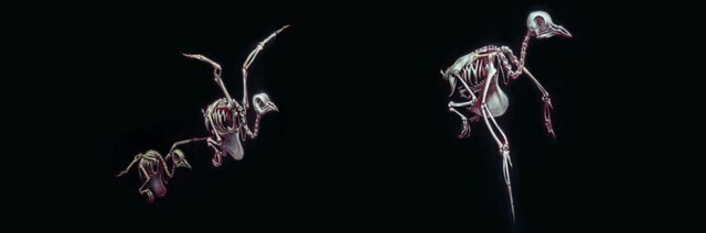 ArtStation - Jean Labourdette