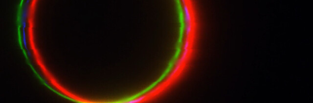 ArtStation - Alex Reedy