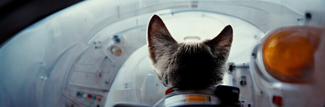 ArtStation - DIGIMONSTER