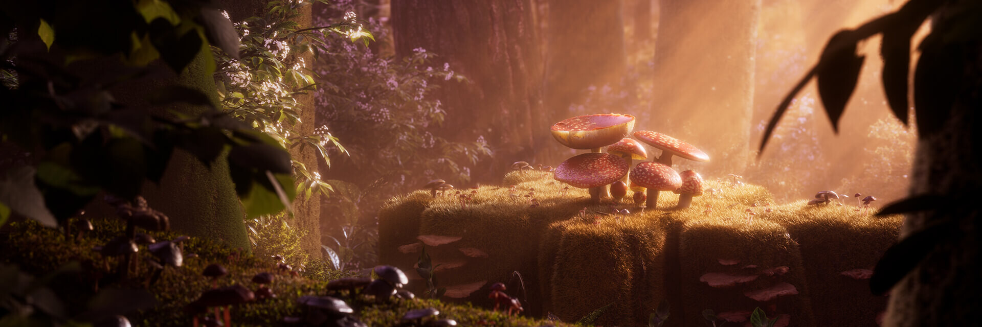 PIXL VISN | media arts academy