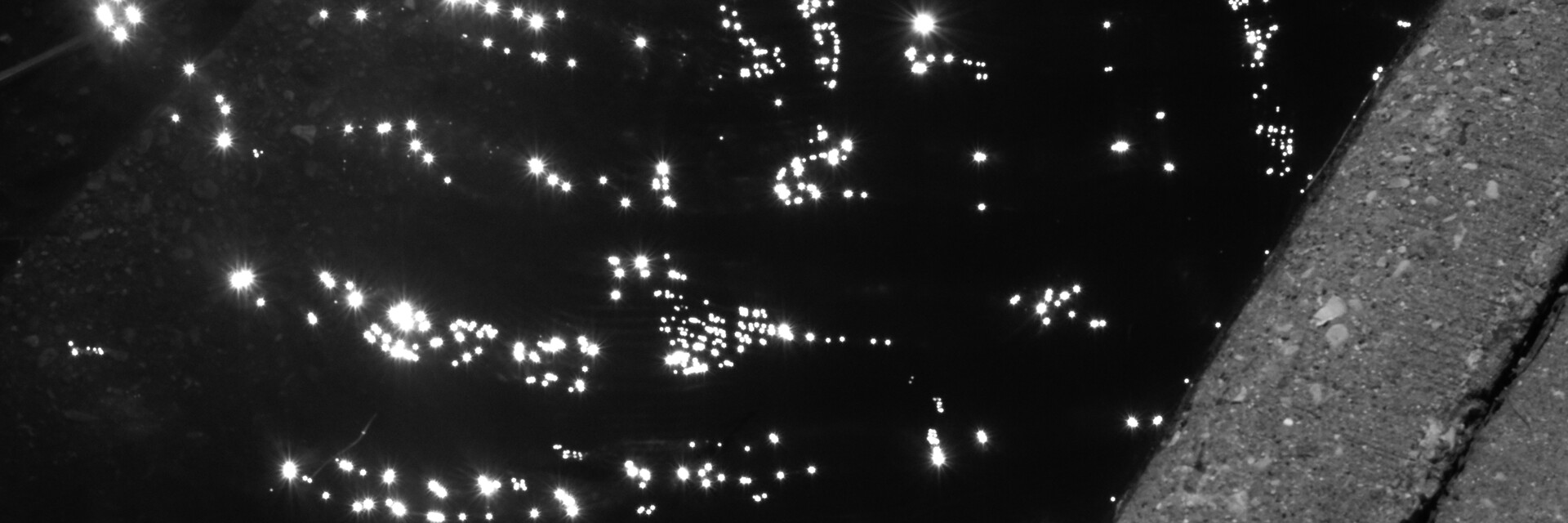 Elijah Winchel - Portfolio