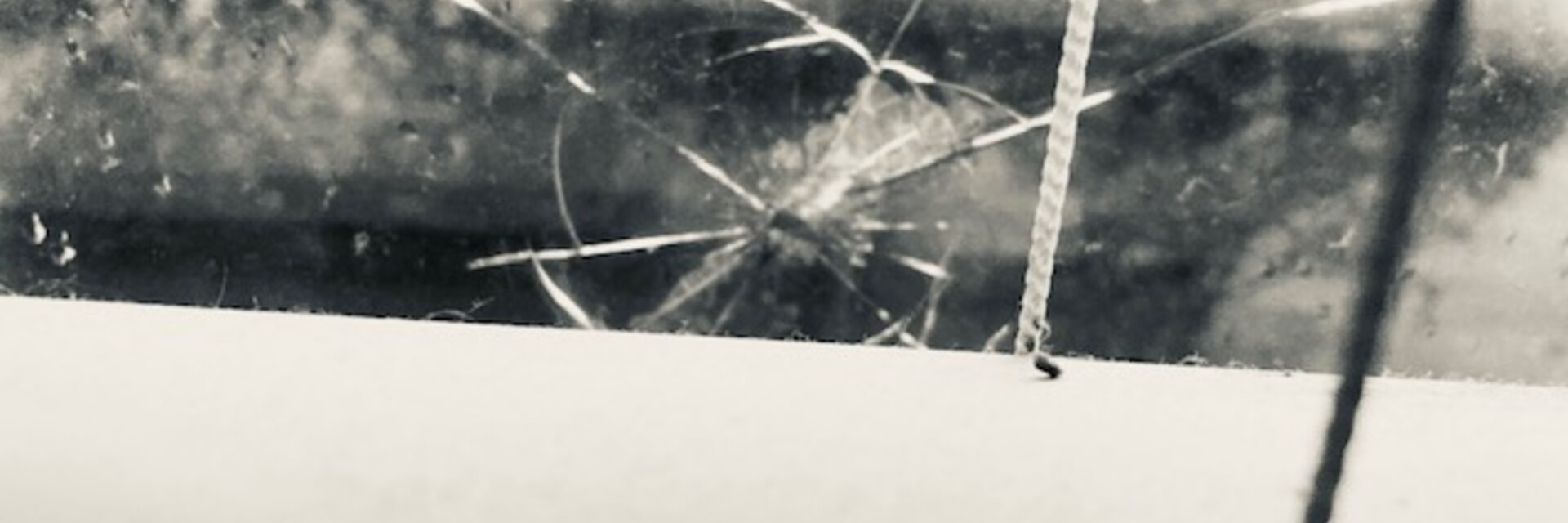 ArtStation - cari Thomas